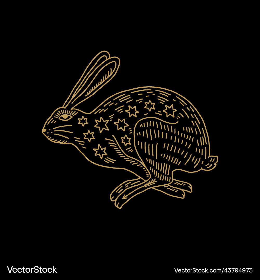 Medieval celestial folk vintage boho rabbit Vector Image