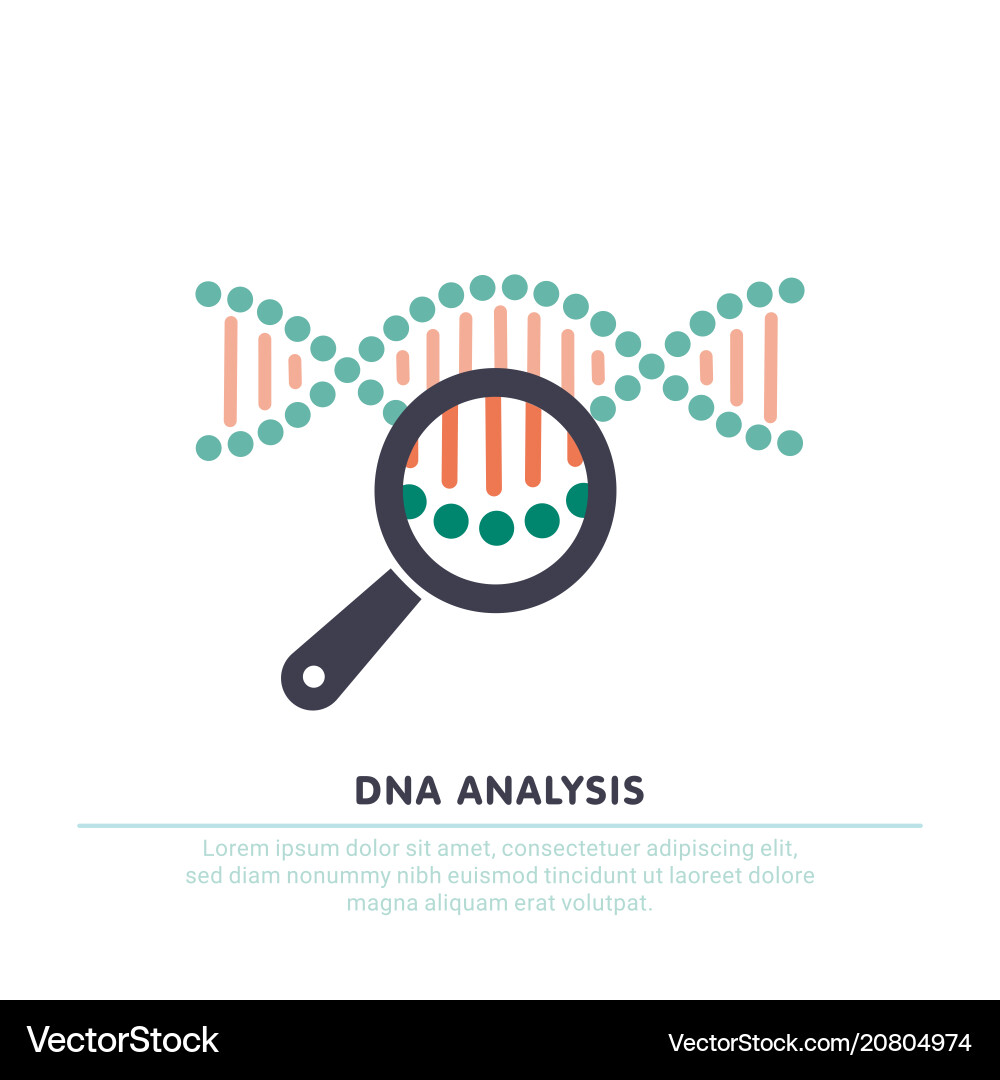 Dna analysis genetics testing chain Royalty Free Vector