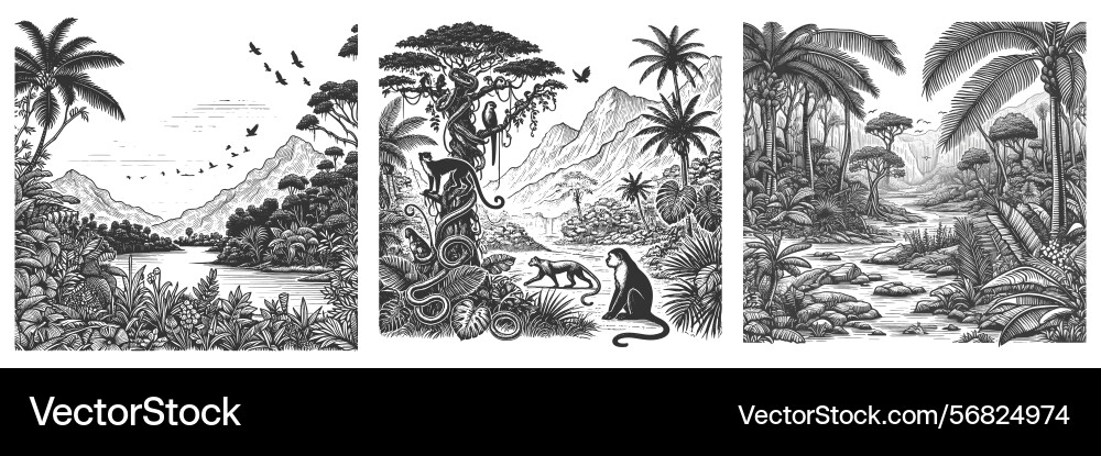 Jungle landscape engraving set collection Vector Image