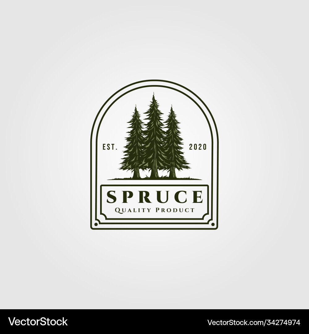 Spruce badge design vintage pine tree logo Vector Image