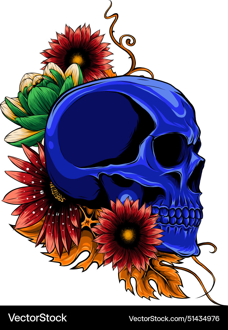 Colored draw of human skull Royalty Free Vector Image