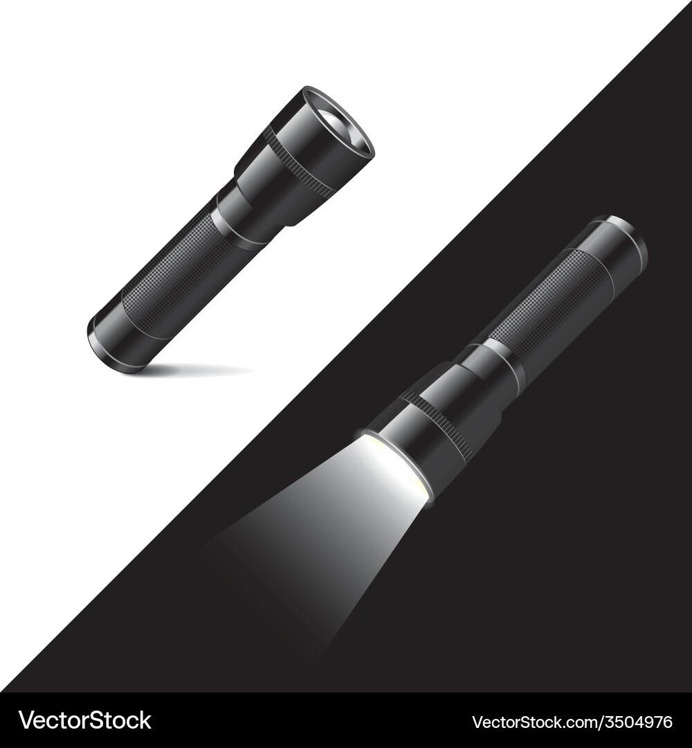 Flashlight isolated Royalty Free Vector Image - VectorStock