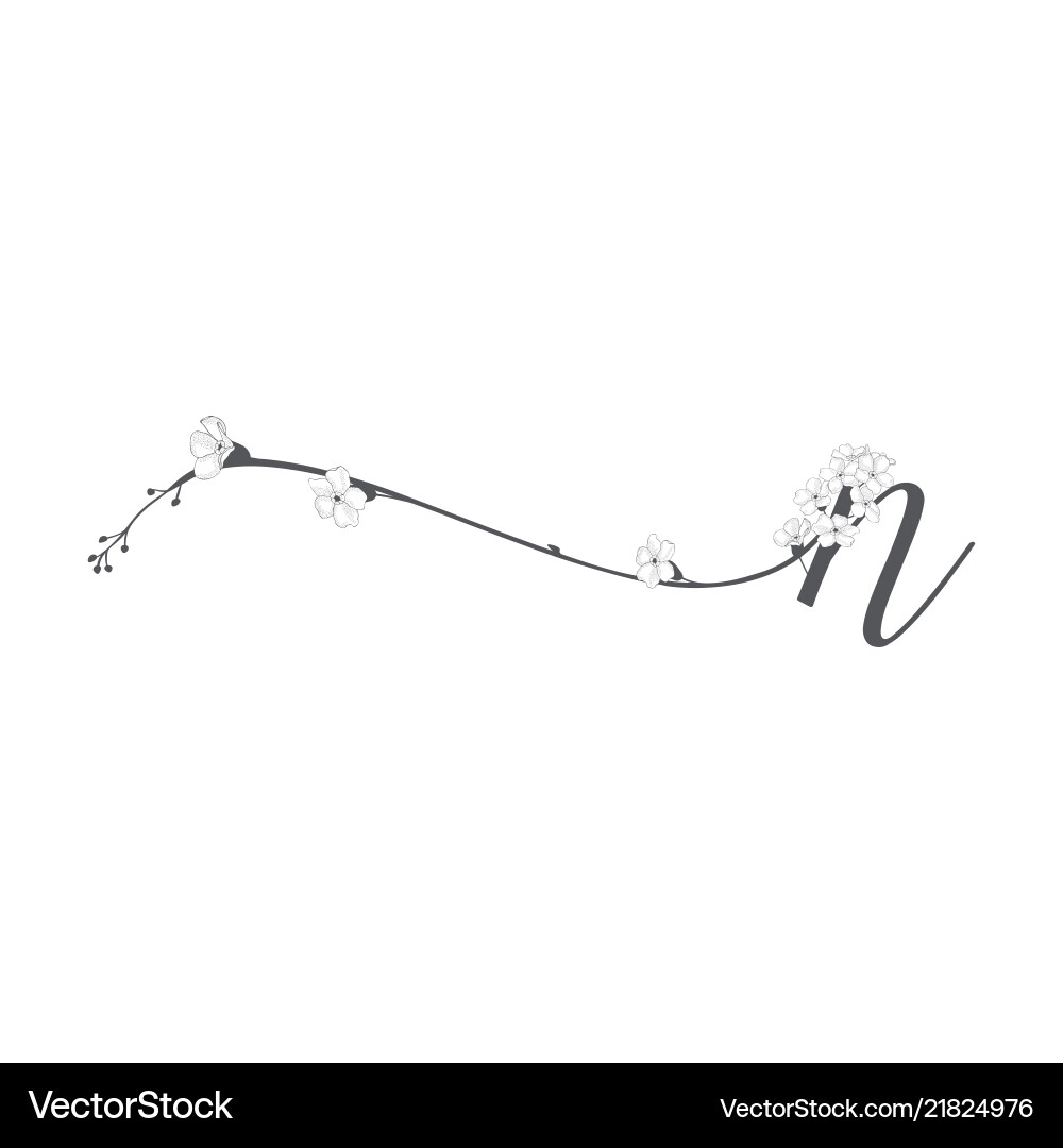 Hand drawn floral n monogram and logo Royalty Free Vector