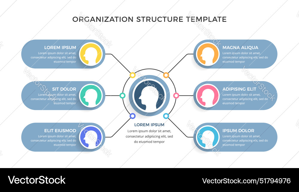 Organization structure template Royalty Free Vector Image