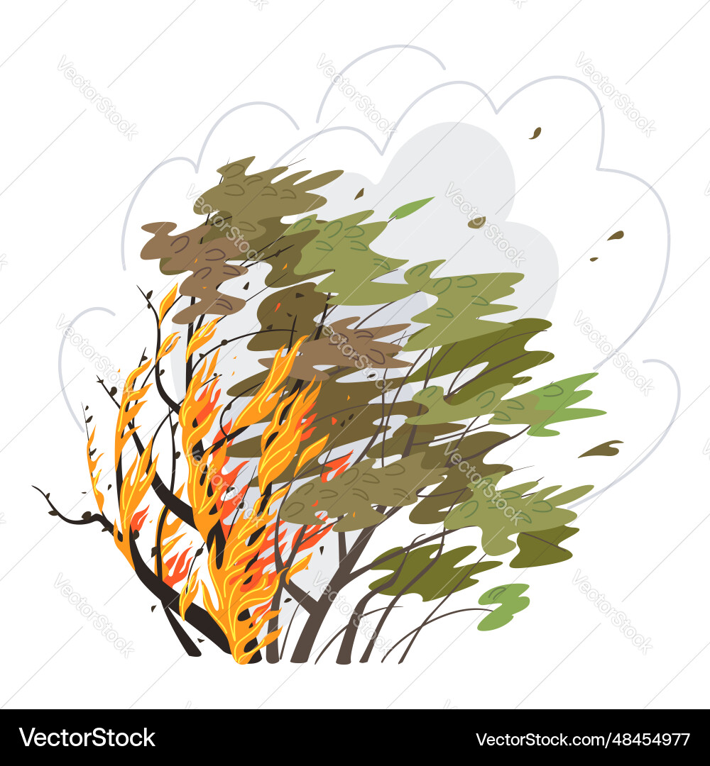 Burning bush isolated on white wildfire Royalty Free Vector
