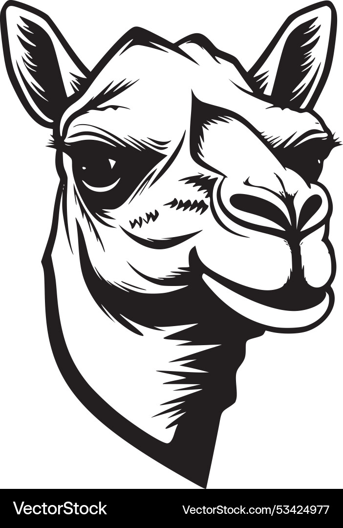 Camel - minimalist and simple silhouette Vector Image