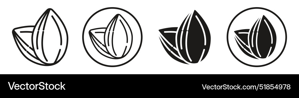 Almond icon set collection for web Royalty Free Vector Image