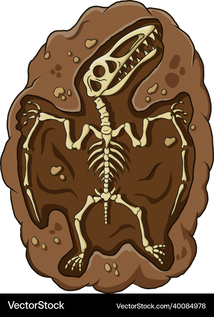 Cartoon pterodactyl dinosaur fossi Royalty Free Vector Image