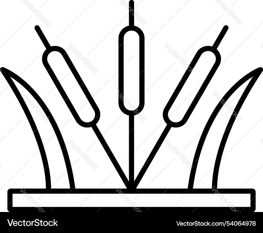 Reeds line icon design Royalty Free Vector Image