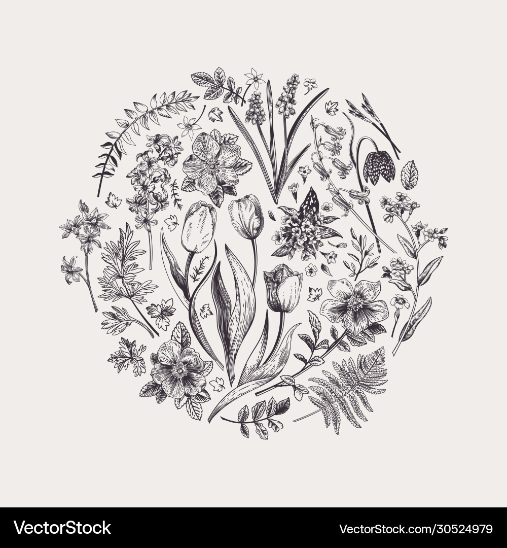 Floral Round Botanical Sketch Royalty Free Vector Image