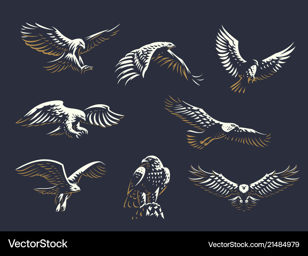 Set of eagles Royalty Free Vector Image - VectorStock