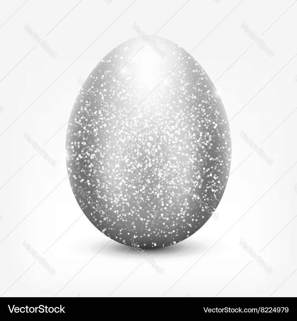 Silver egg Royalty Free Vector Image - VectorStock