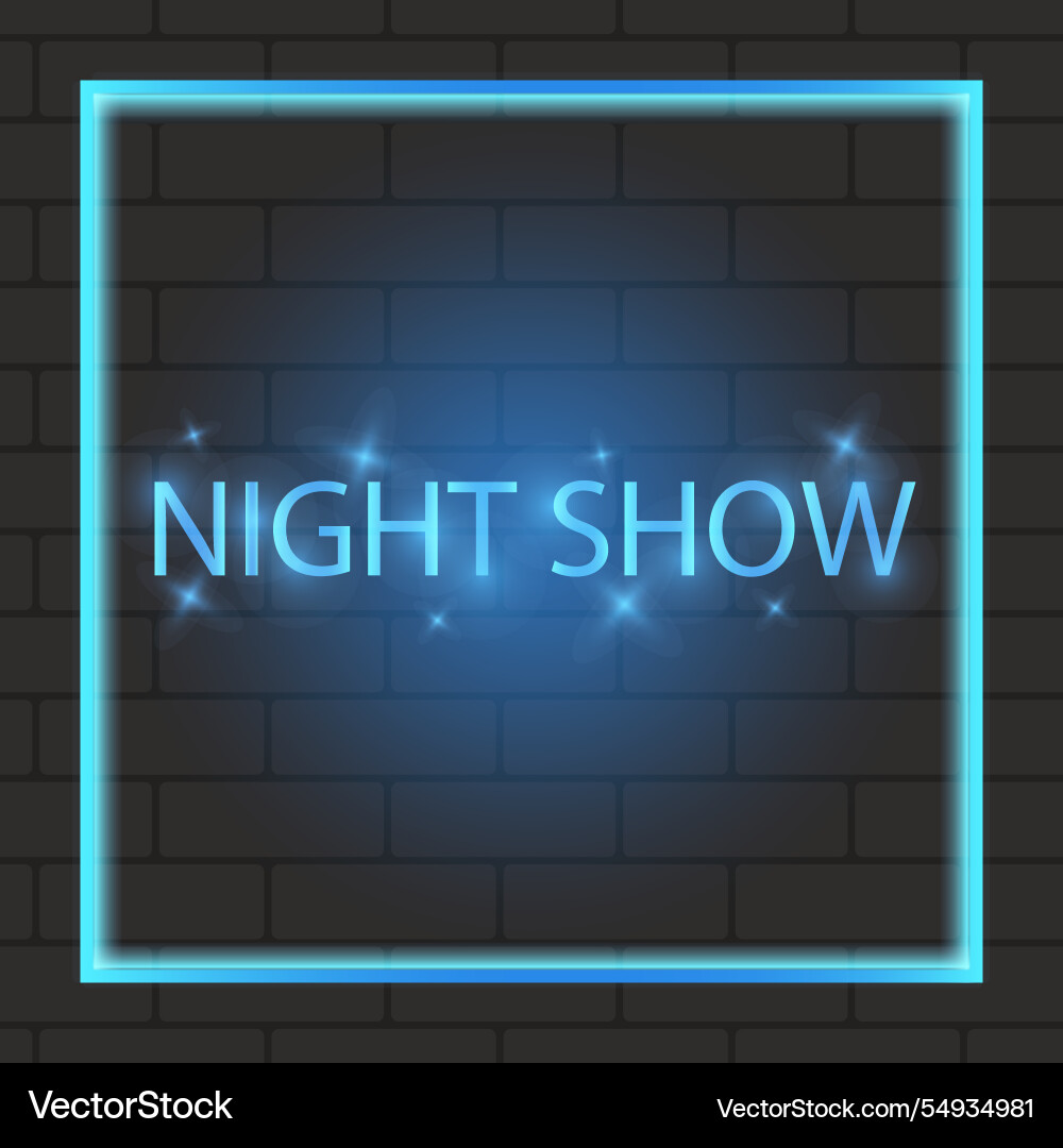 Night show bright shining sign on brick wall Vector Image