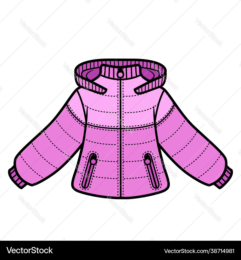 Padded winter jacket with hood color Royalty Free Vector