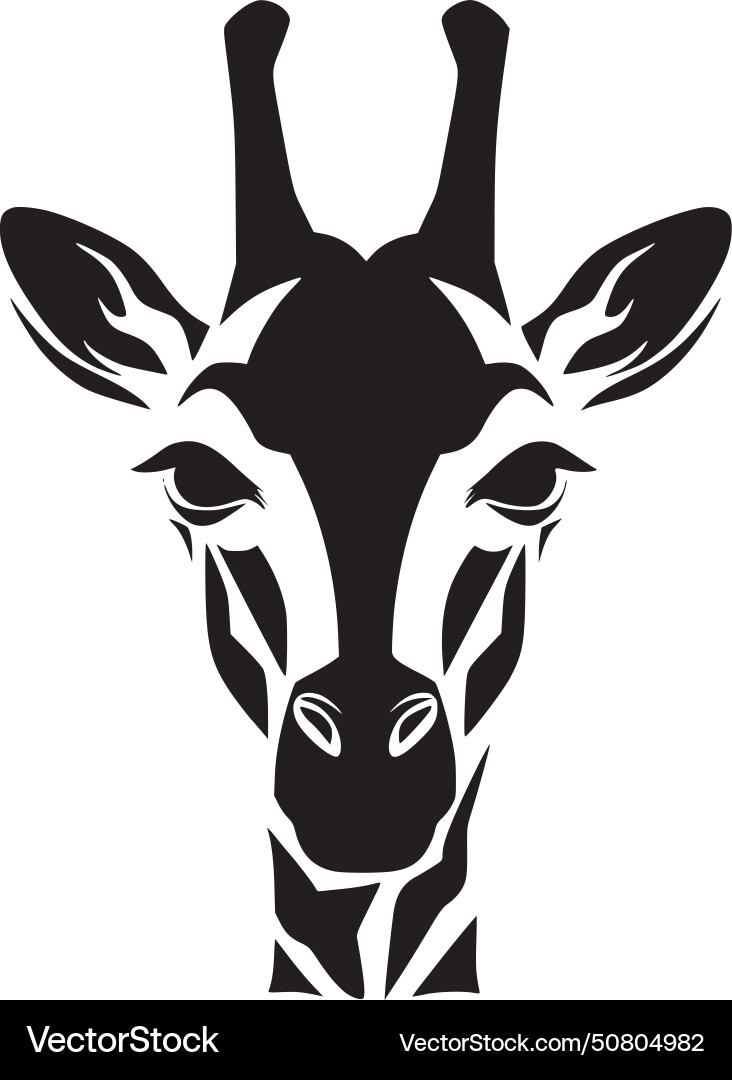 Giraffe - black and white Royalty Free Vector Image