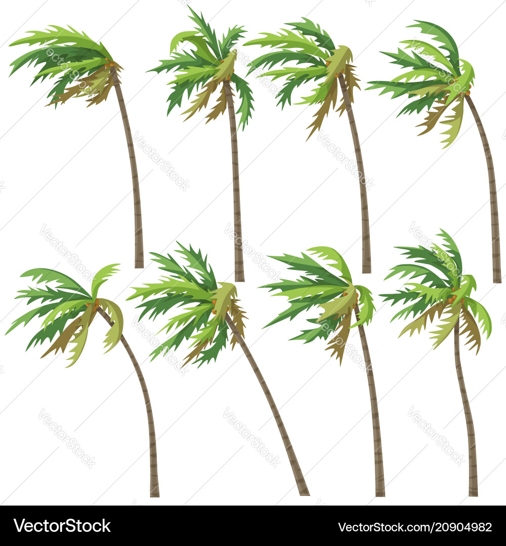 Tropical palm trees on wind storm Royalty Free Vector Image