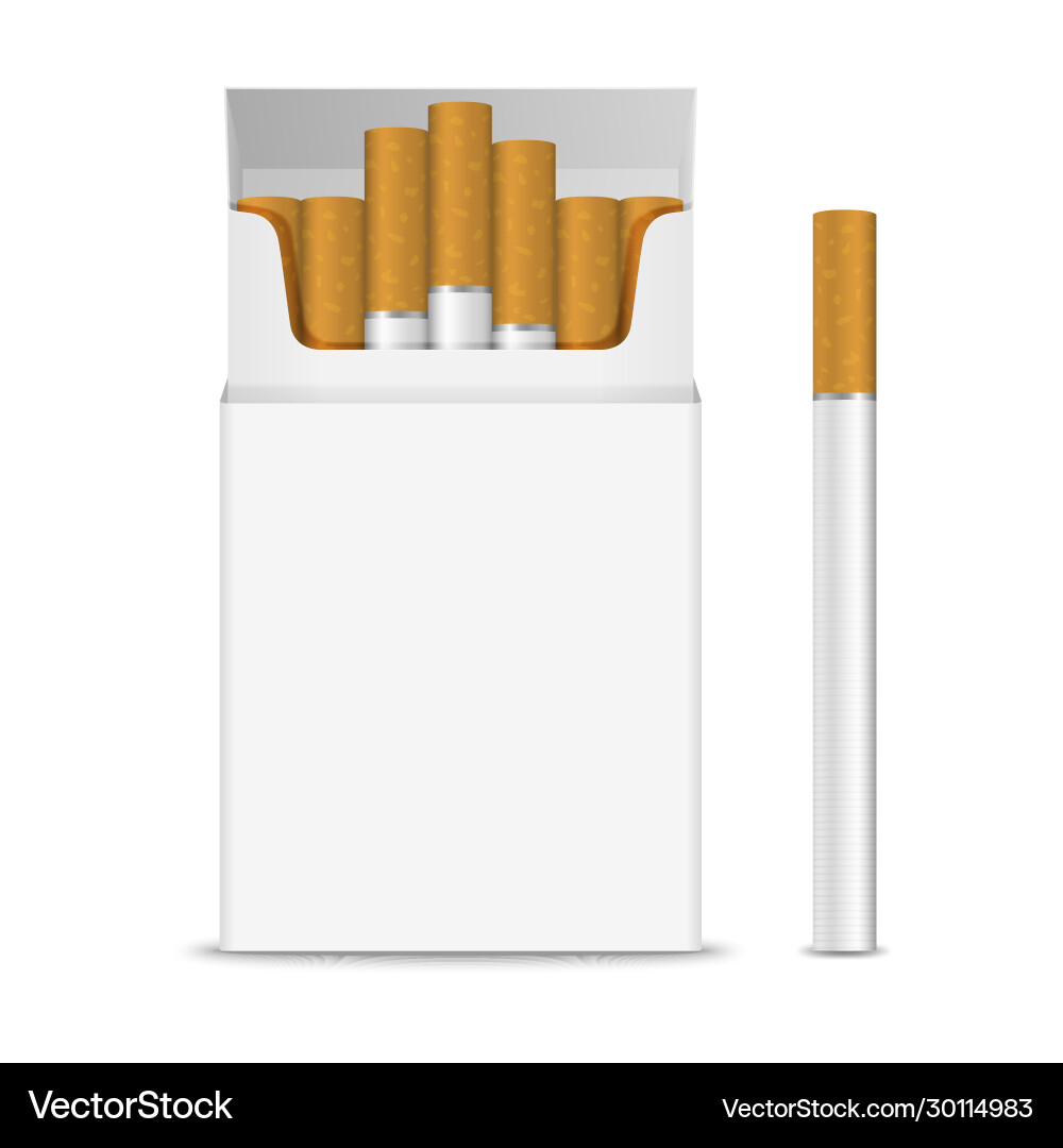 Realistic opened clear blank cigarette pack Vector Image