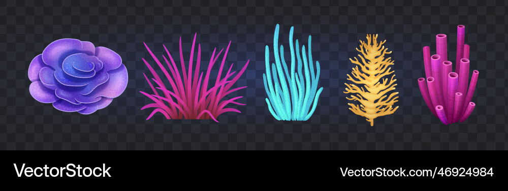 Coral reef set Royalty Free Vector Image - VectorStock