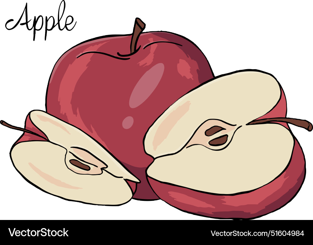 Red apple Royalty Free Vector Image - VectorStock