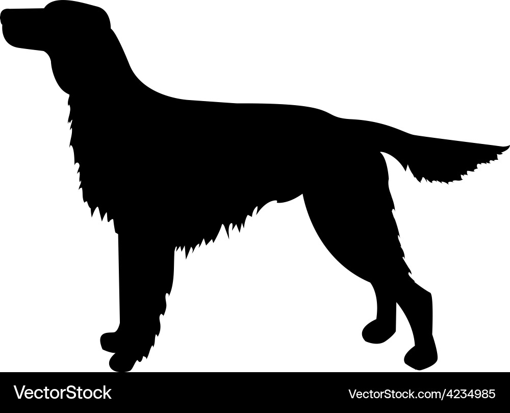 Dog silhouette irish setter Royalty Free Vector Image