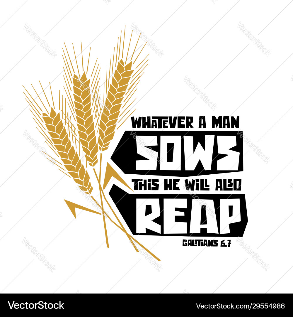 Reap Sow Vector Images (over 150)
