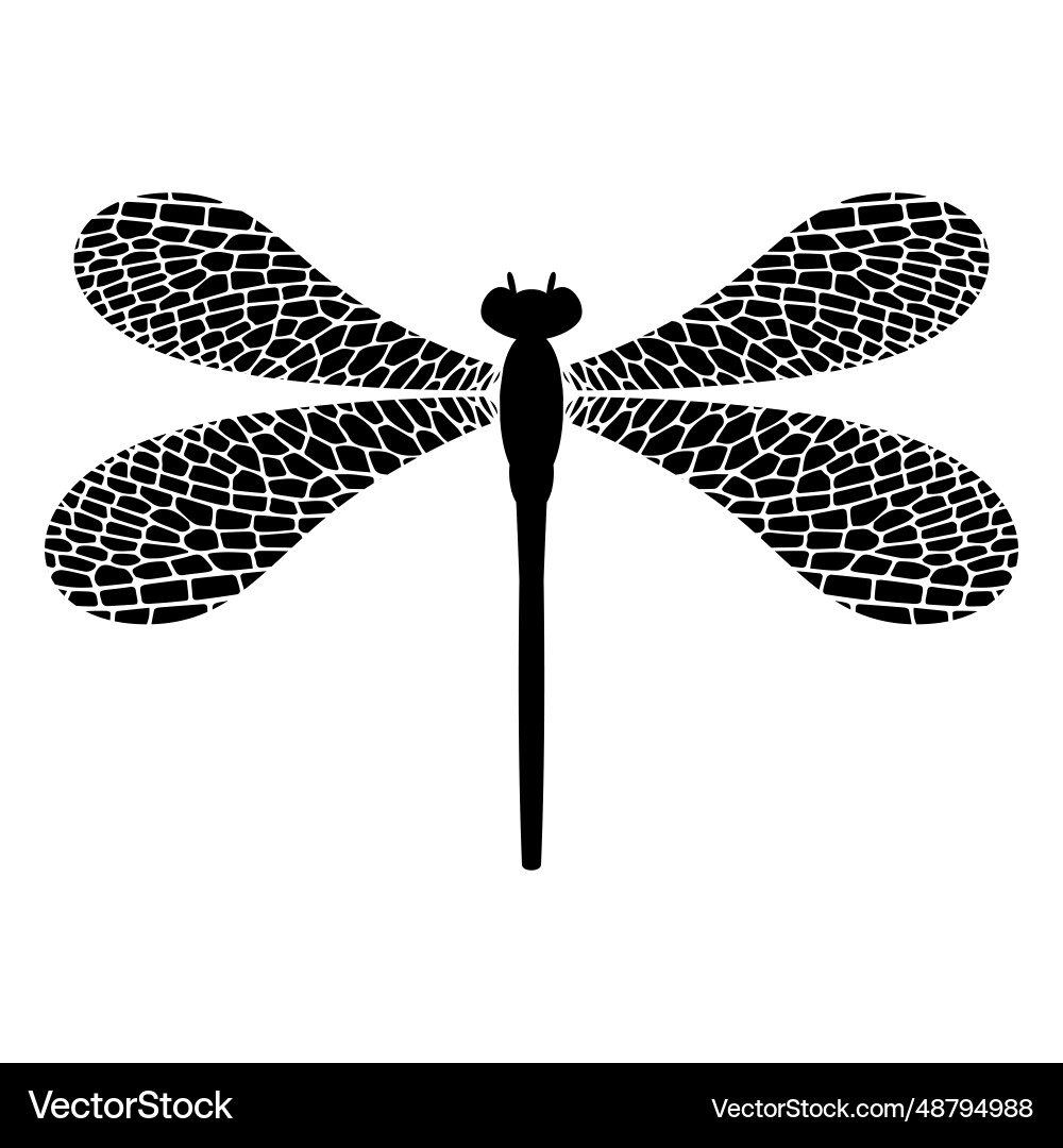 Dragonfly Royalty Free Vector Image - VectorStock