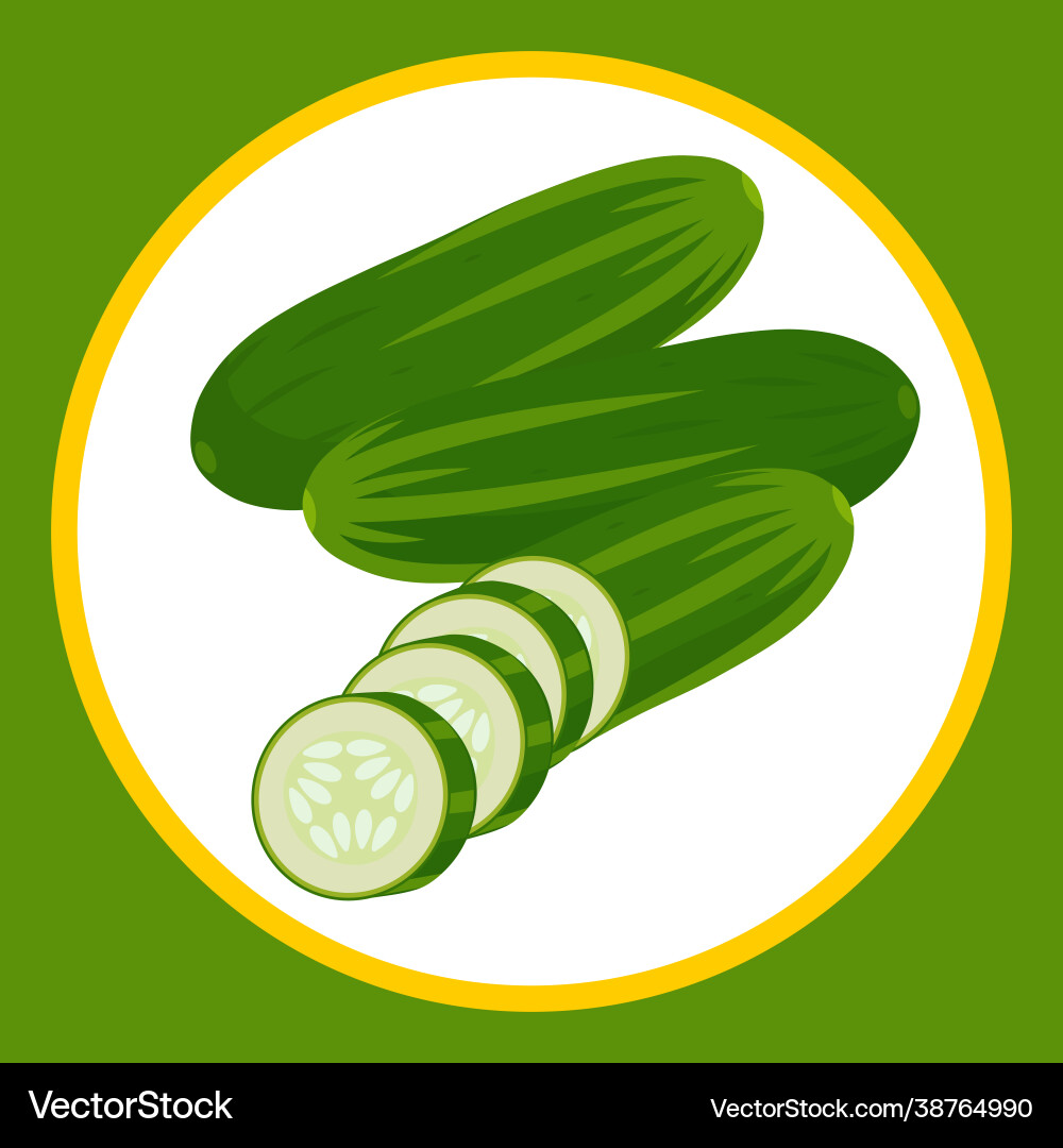 Stylized cucumber Royalty Free Vector Image - VectorStock