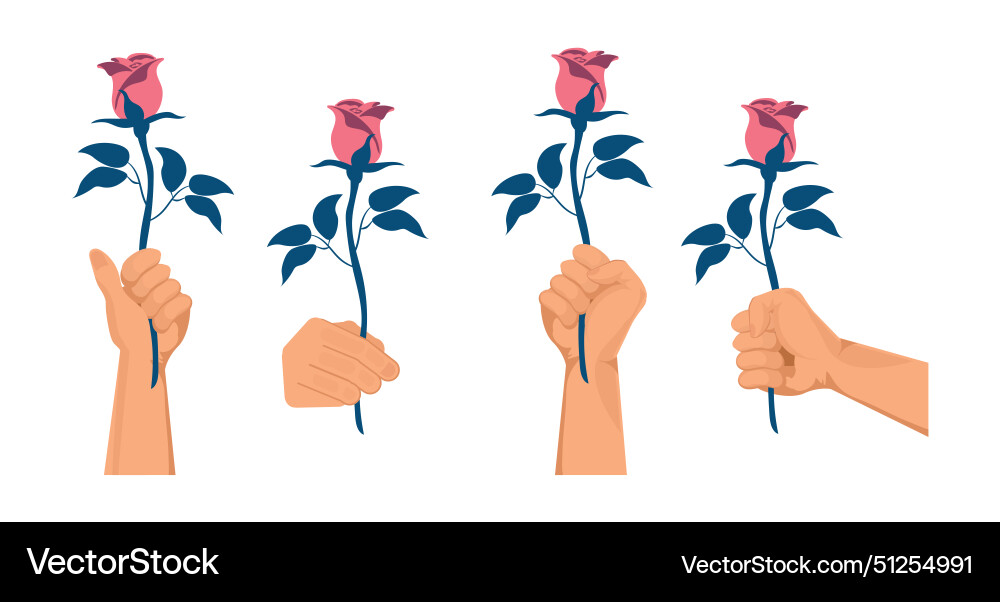 A clenched fist holding rose isolated Royalty Free Vector