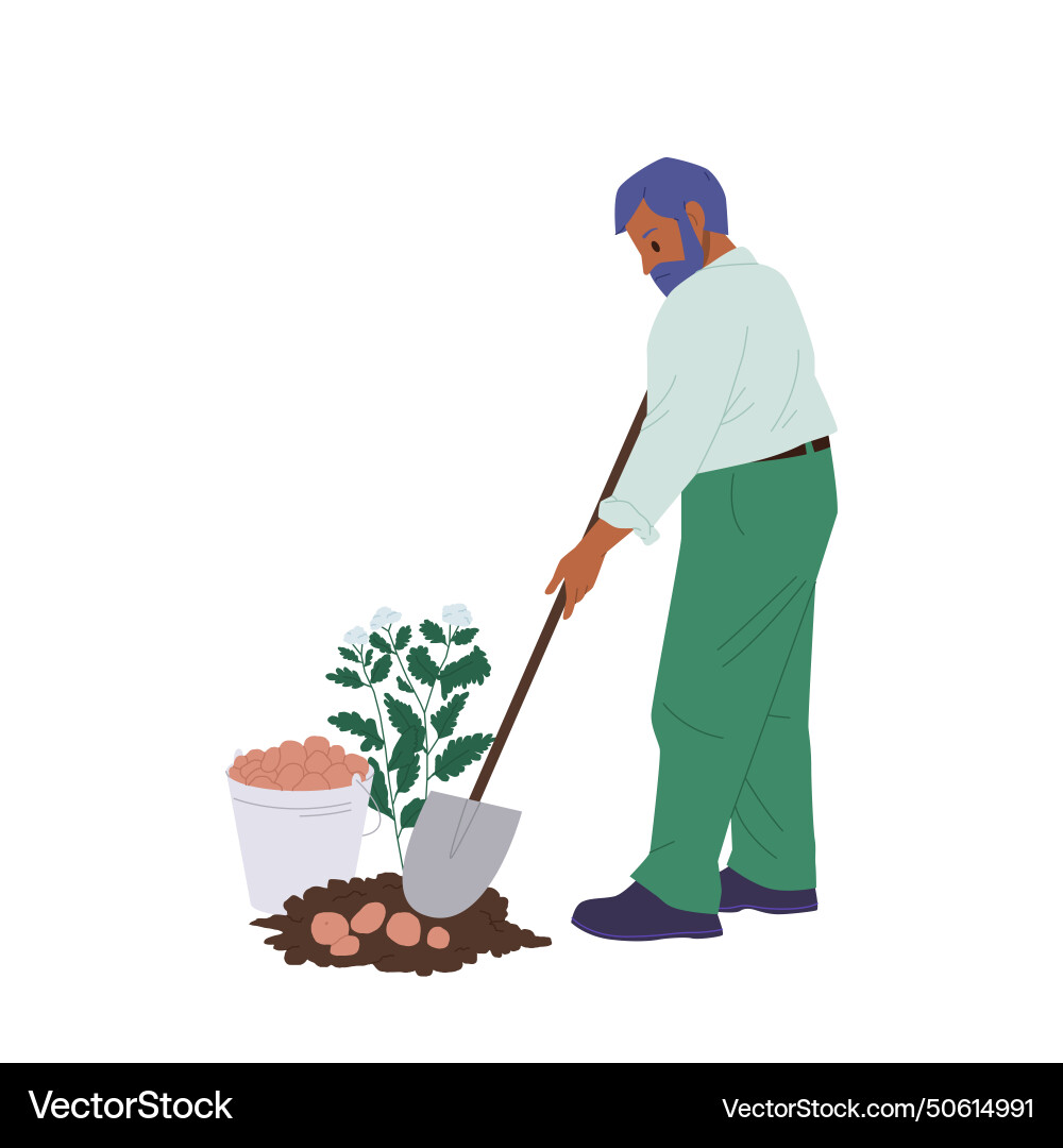 Man farmer cartoon character digging potato from Vector Image