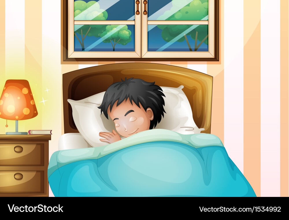 A boy sleeping soundly in his room Royalty Free Vector Image