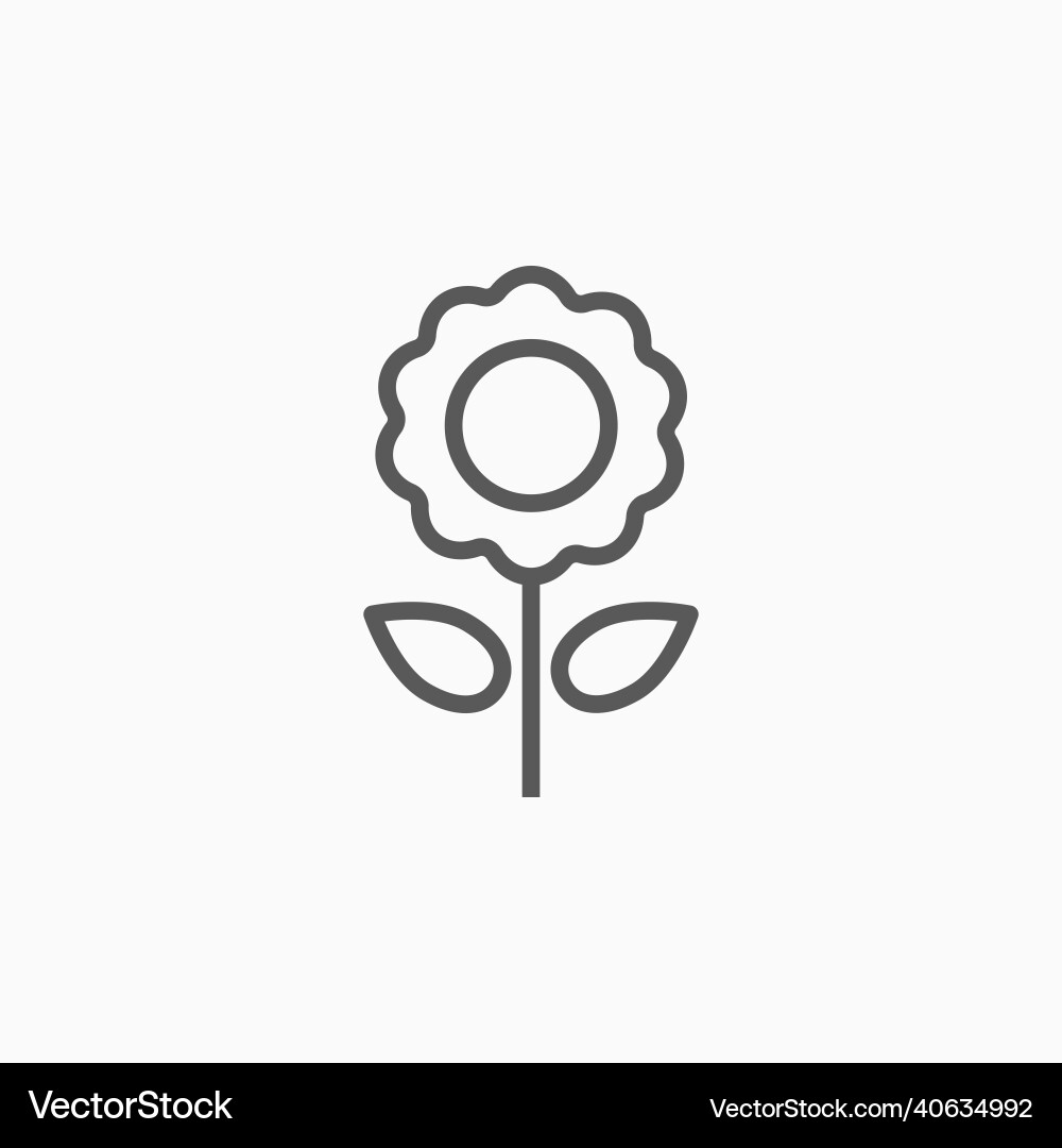 Beautiful Flower Icon Royalty Free Vector Image