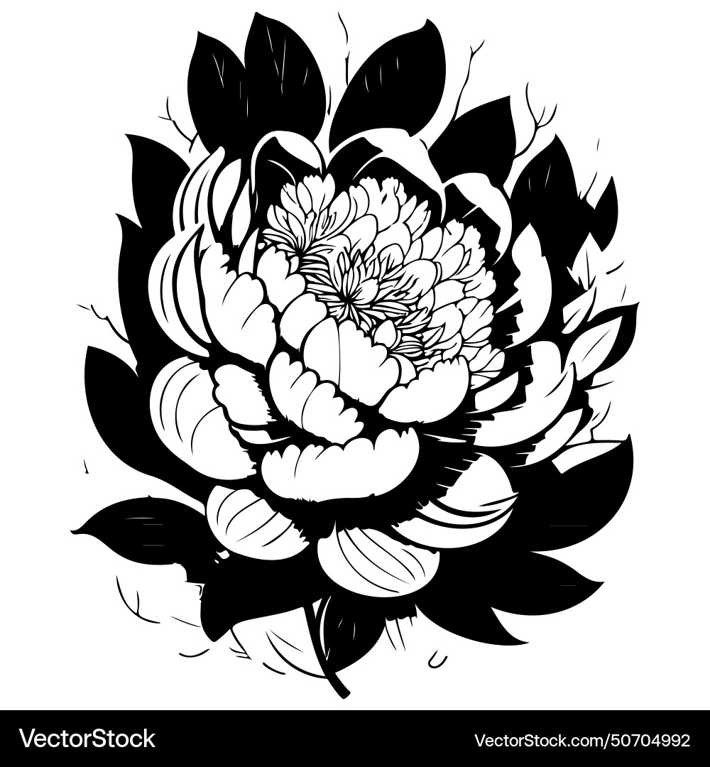 Doodle peony spring summer flowers sketch black Vector Image