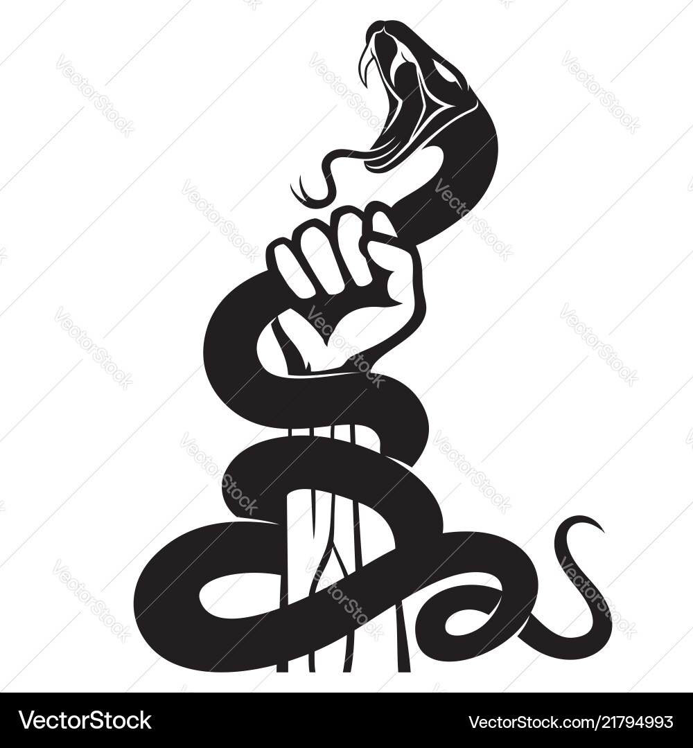 Black snake in hand Royalty Free Vector Image - VectorStock