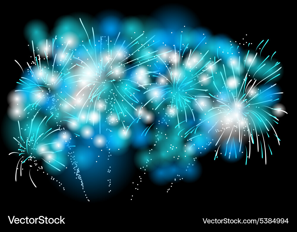 Fireworks Royalty Free Vector Image - VectorStock