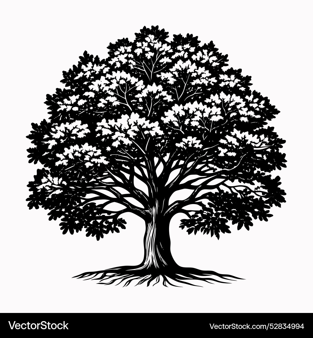 Trees isolated on white background Royalty Free Vector Image