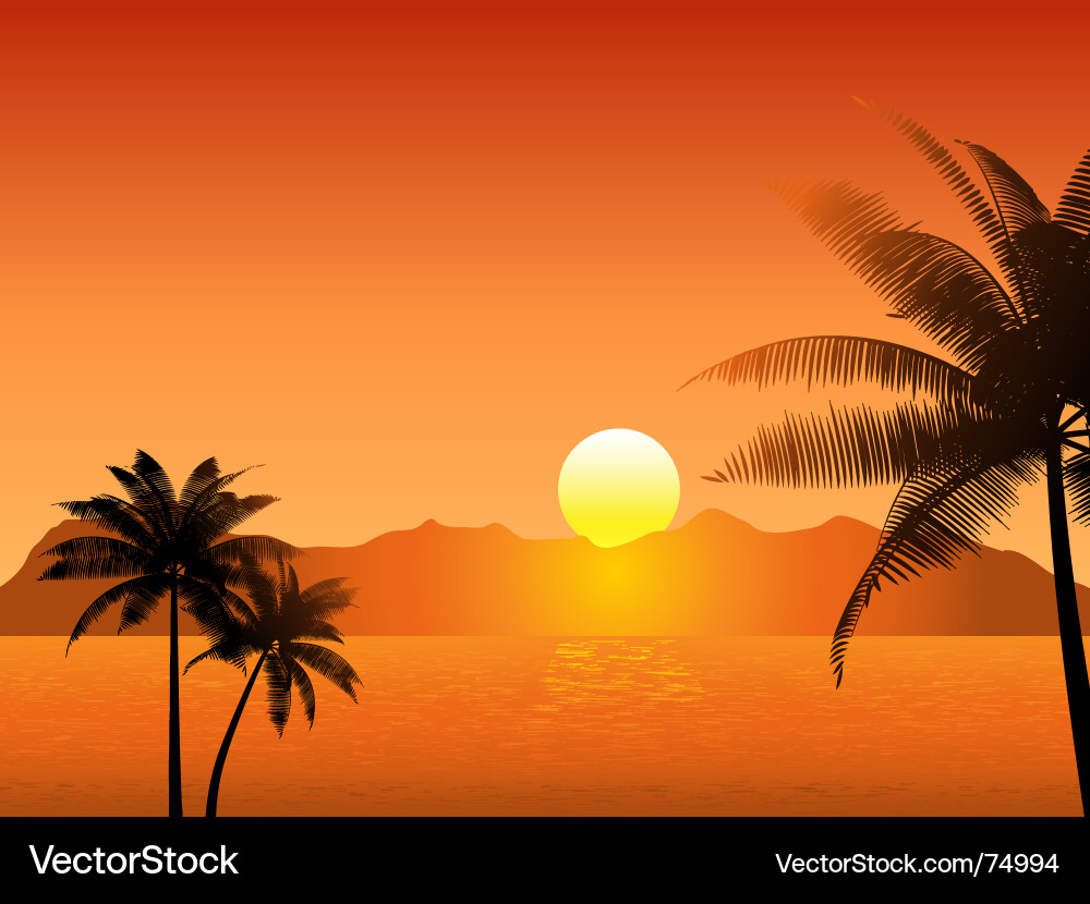 Tropical sunset Royalty Free Vector Image - VectorStock