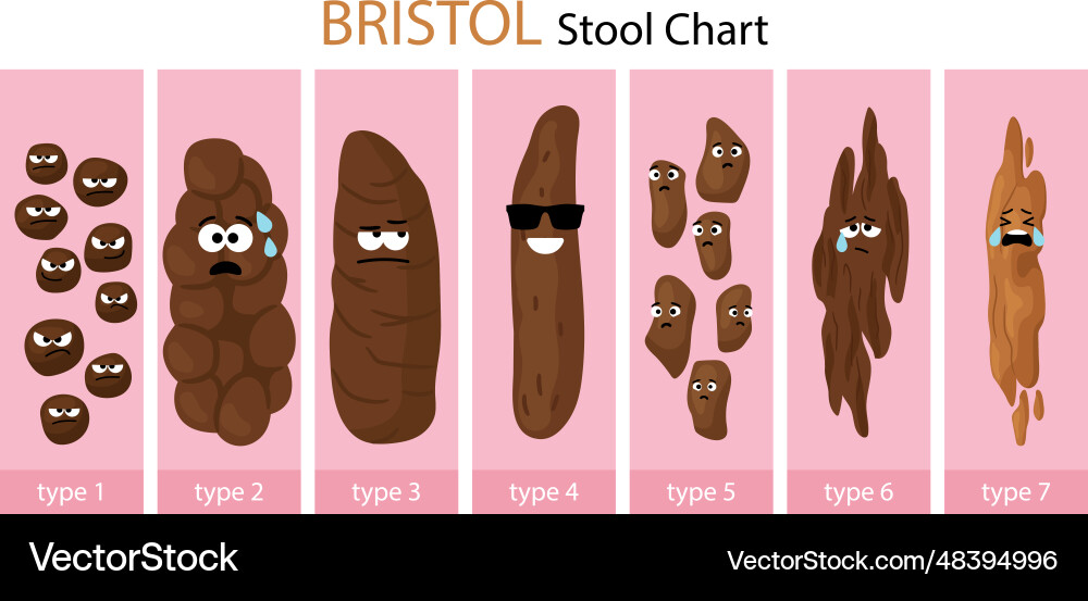 Excretion System Vector Images (60)