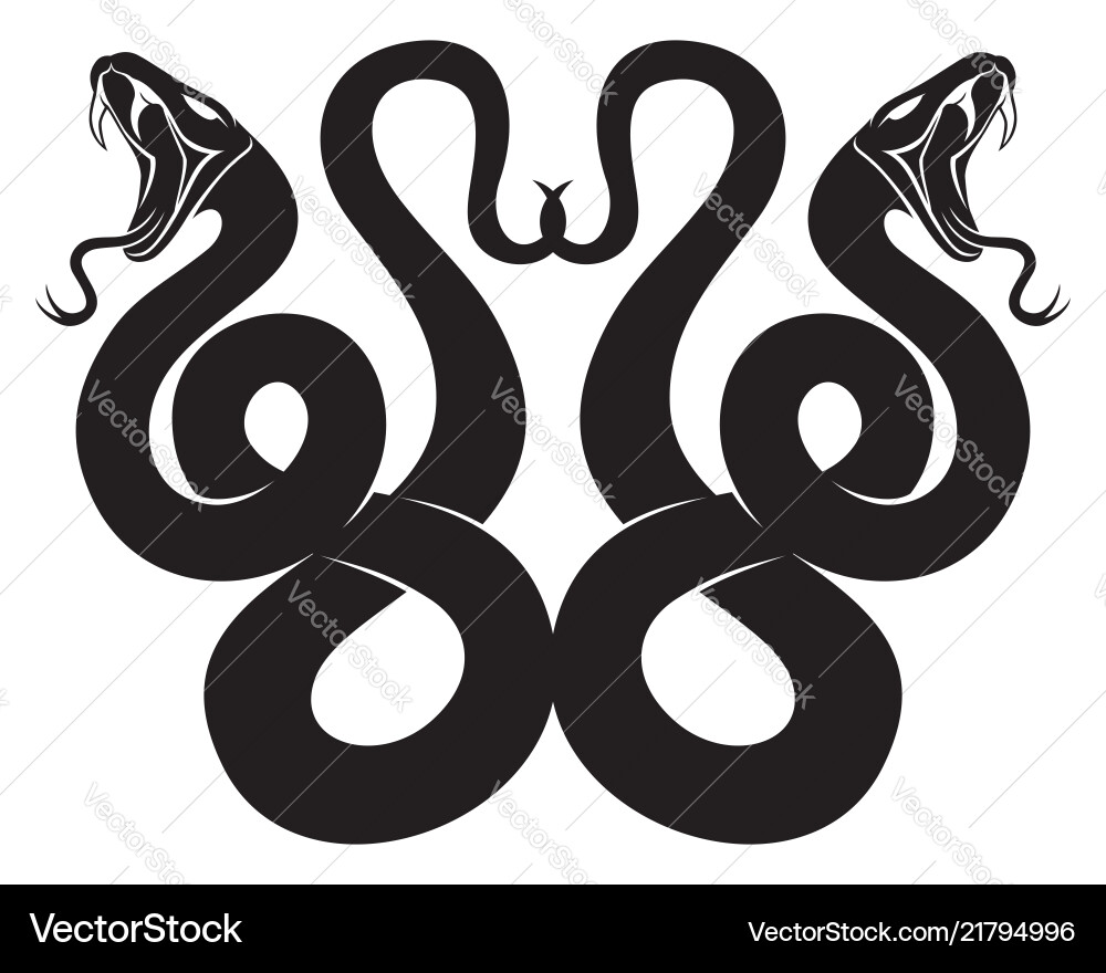 Two black snakes Royalty Free Vector Image - VectorStock