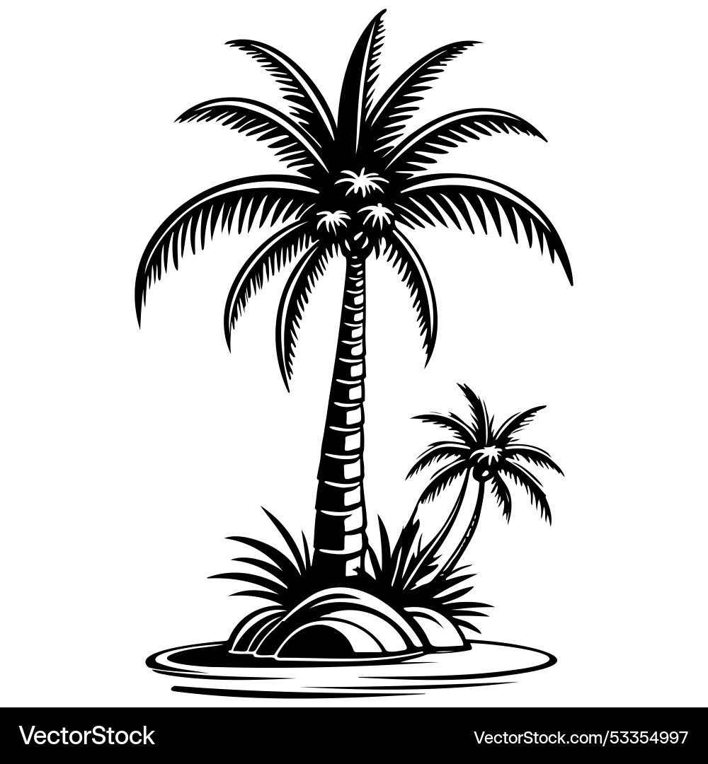 Cartoon palm tree hand drawn line transparent Vector Image