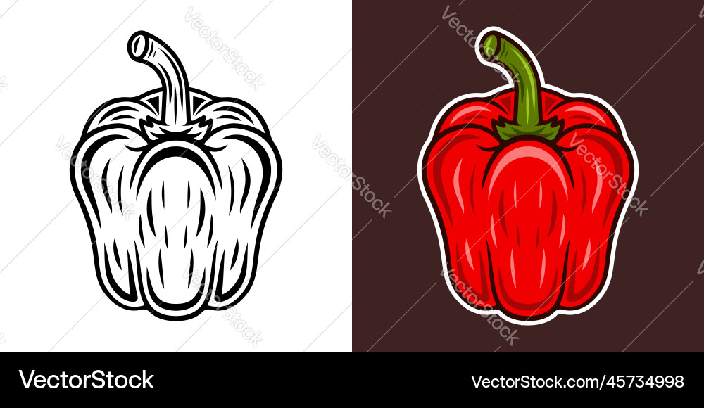 Bell pepper in two styles Royalty Free Vector Image
