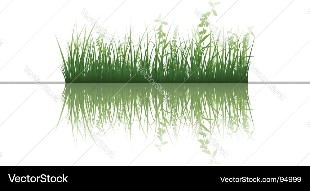 Grass on water Royalty Free Vector Image - VectorStock