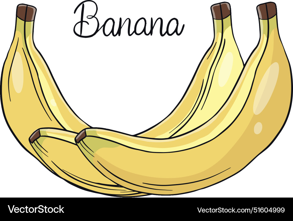 Yellow banana Royalty Free Vector Image - VectorStock