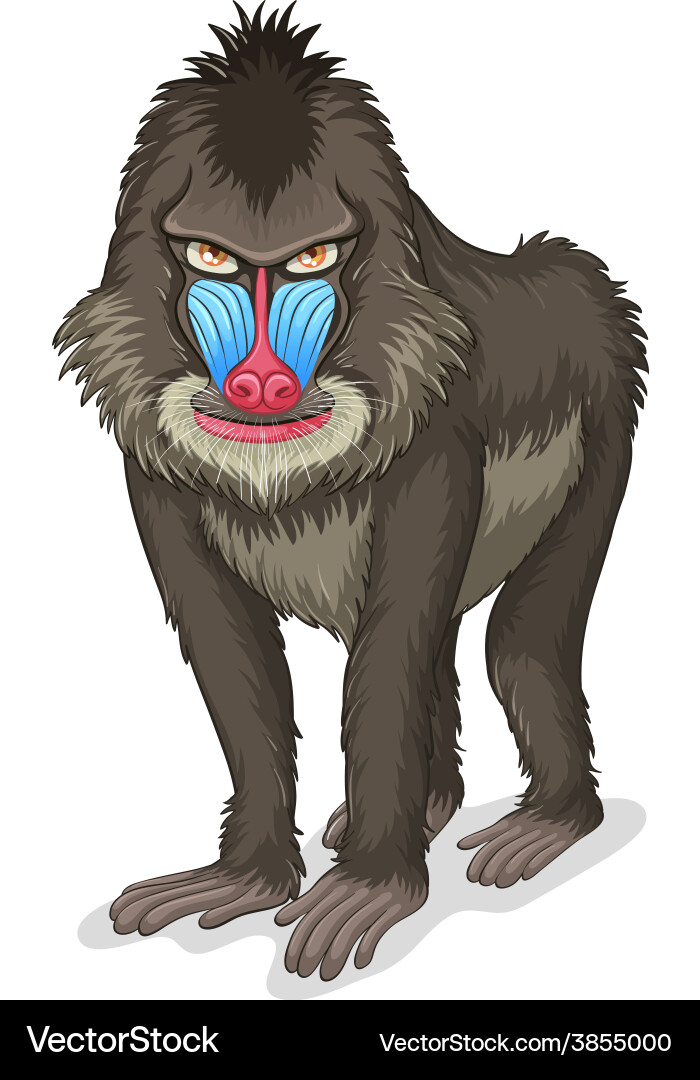 Baboon Royalty Free Vector Image - VectorStock