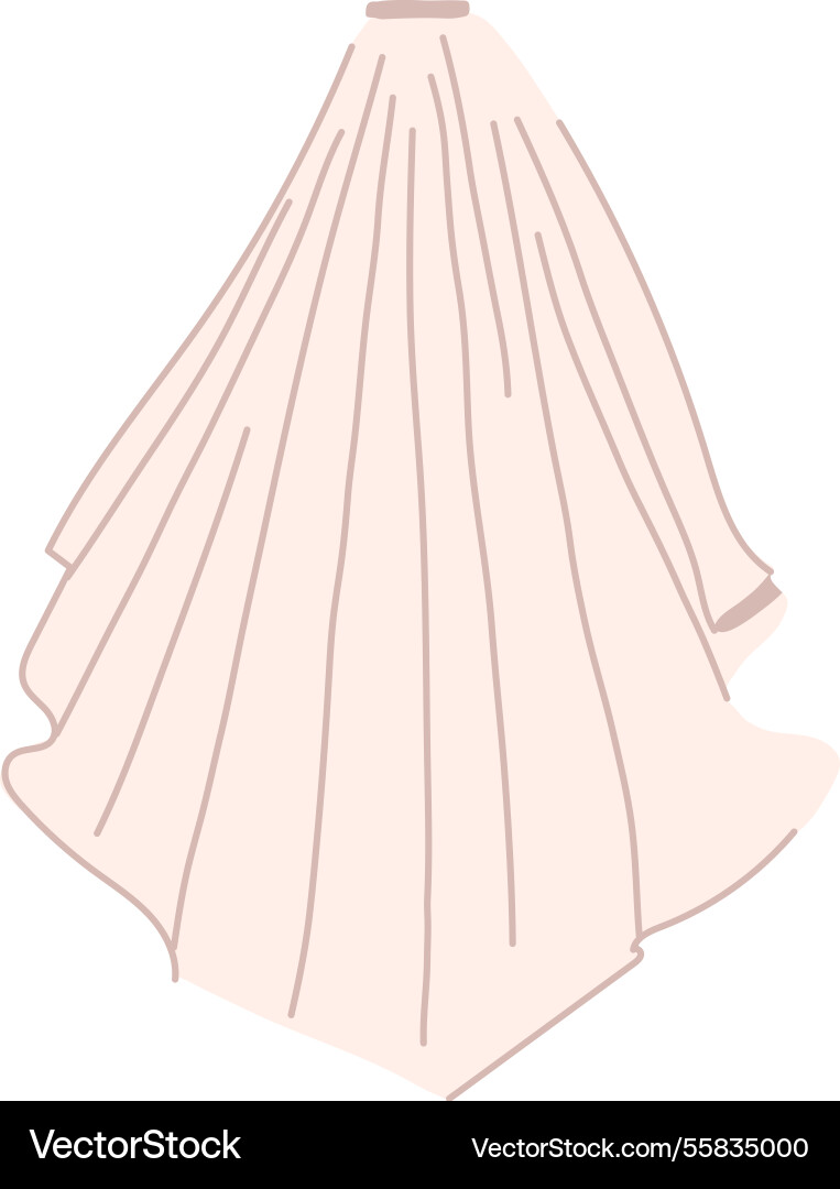 Cathedral veil bridal cartoon Royalty Free Vector Image