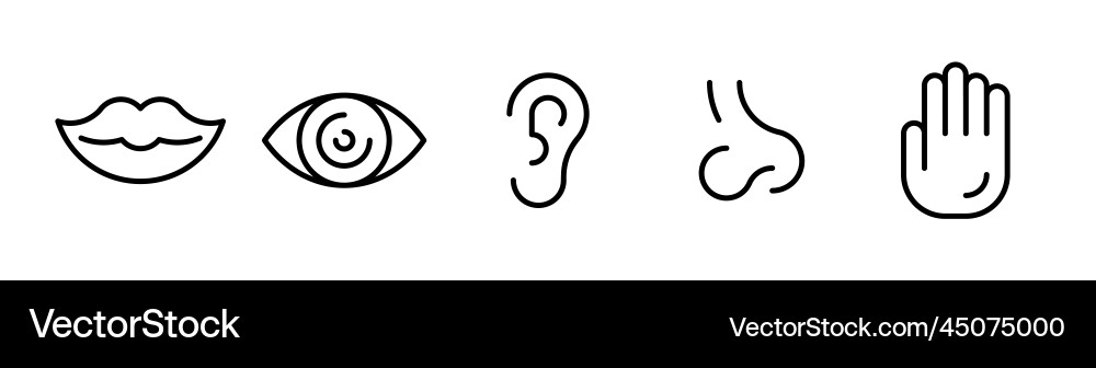 Outline icon set of five human senses Royalty Free Vector