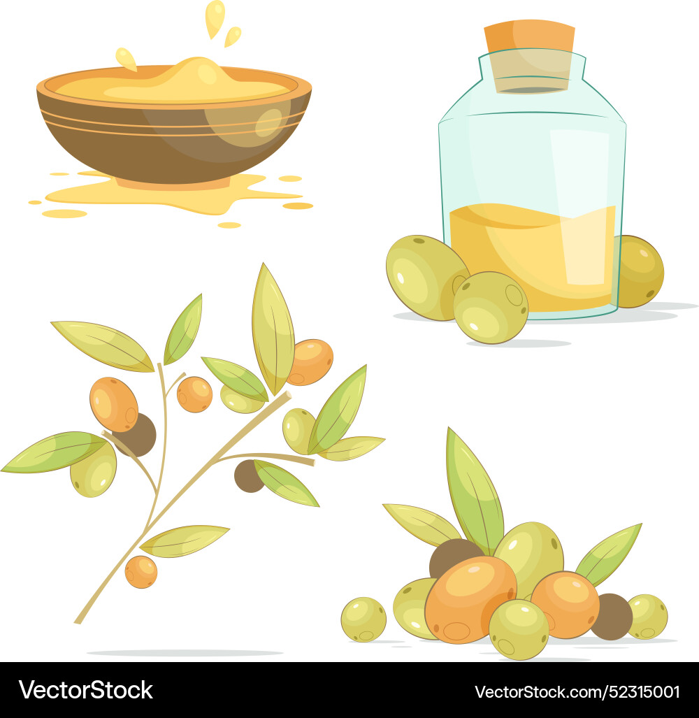 Detailed argan oil elements collection Royalty Free Vector