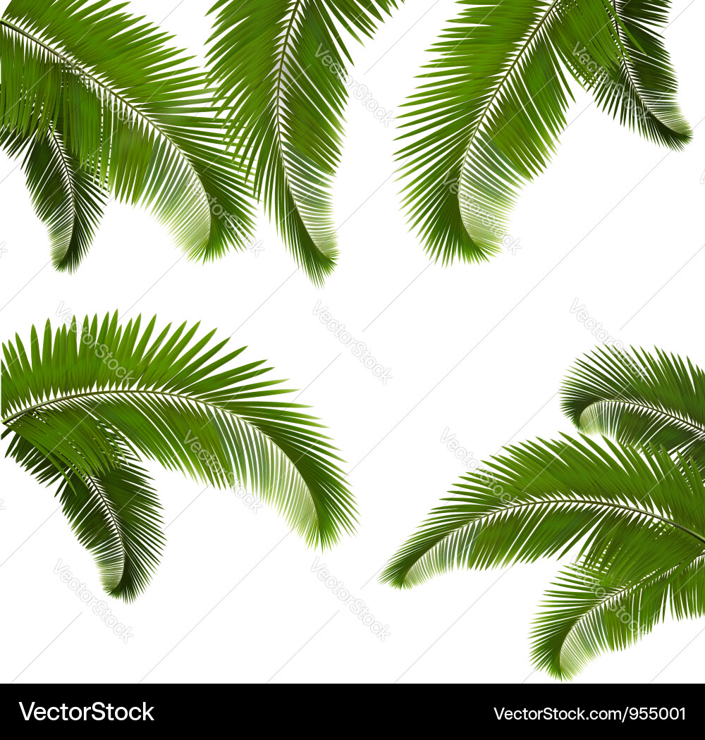 Green Palm Vector Images (over 88,000)