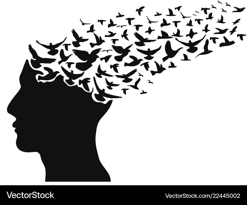 Birds flying human head Royalty Free Vector Image