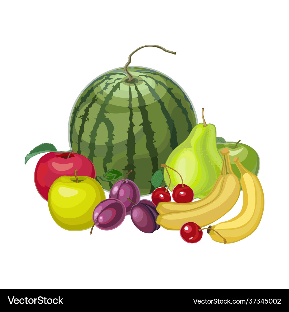 Collection different fruits Royalty Free Vector Image