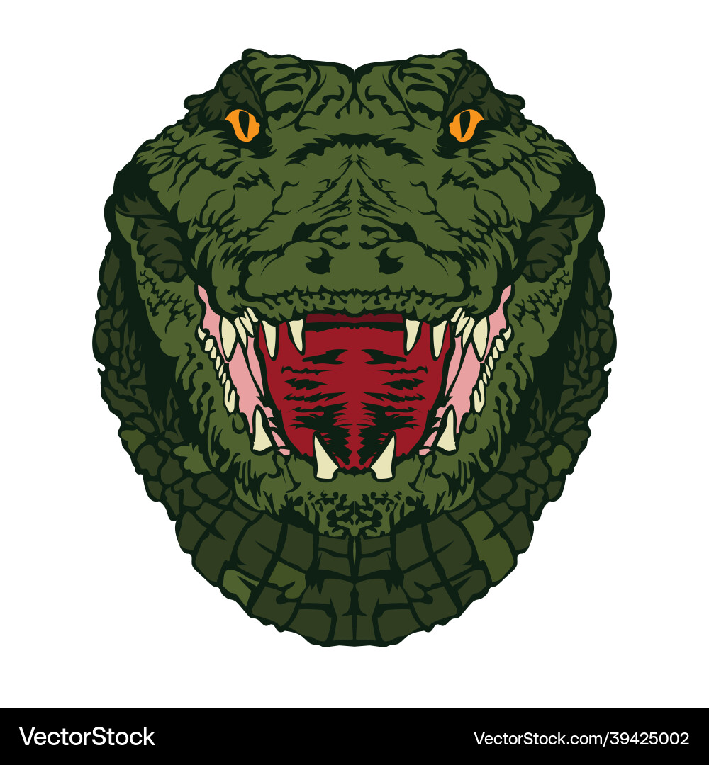 Crocodile head Royalty Free Vector Image - VectorStock